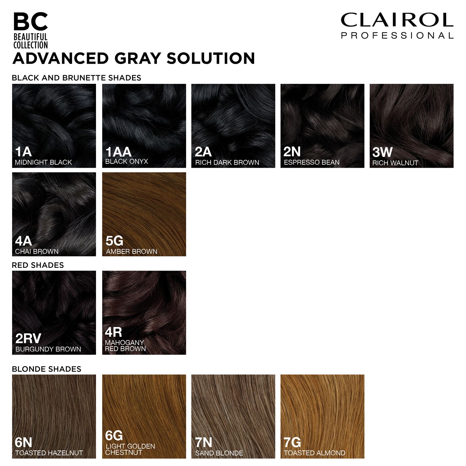 Clariol Professional Advanced Gray Solutions Semi Permanent Hair Color ...