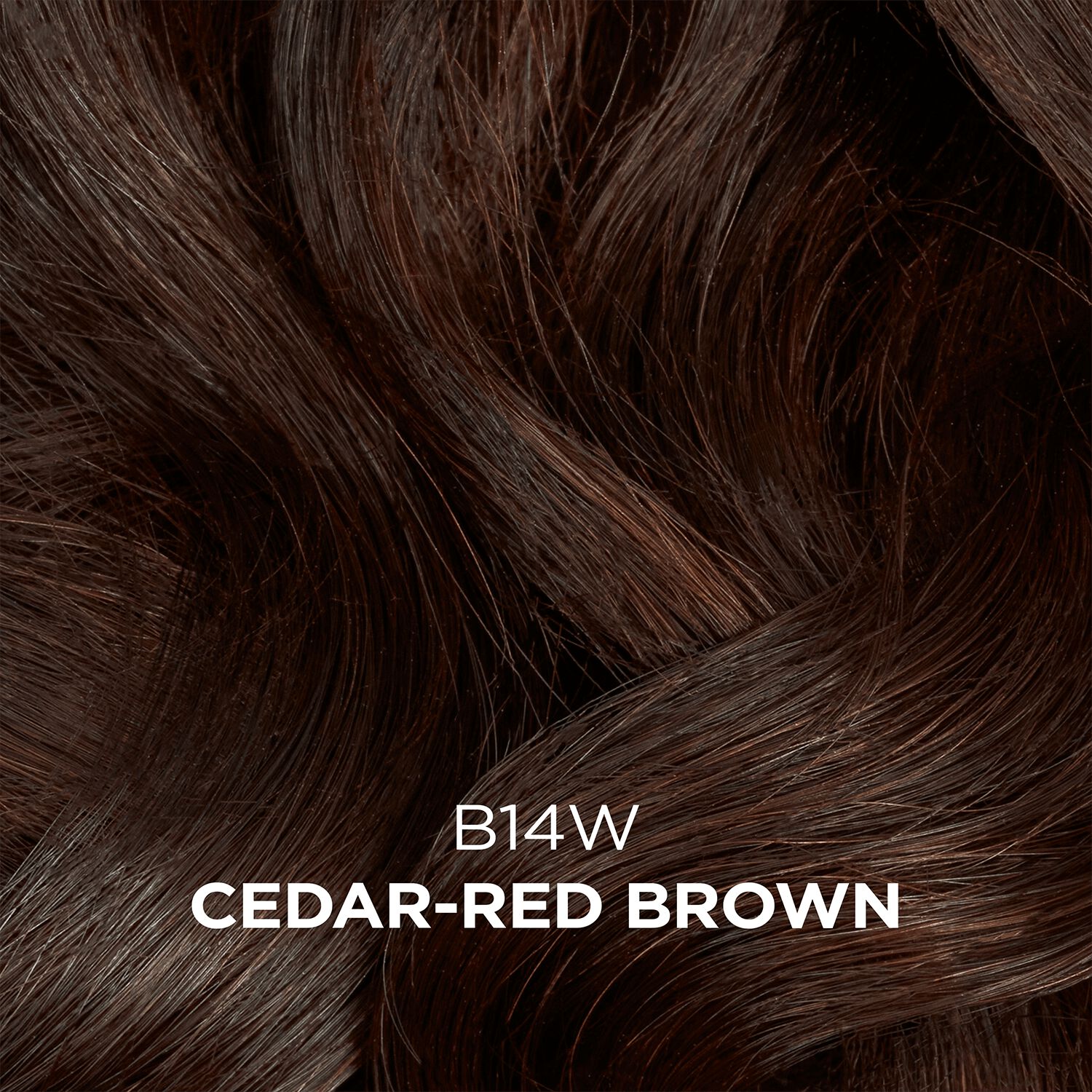 Cedar Red Brown - Beautiful Collection Semi-Permanent Hair Color by ...