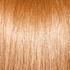 Ion 8RC Light Copper Blonde Permanent Creme Hair Color by Color ...