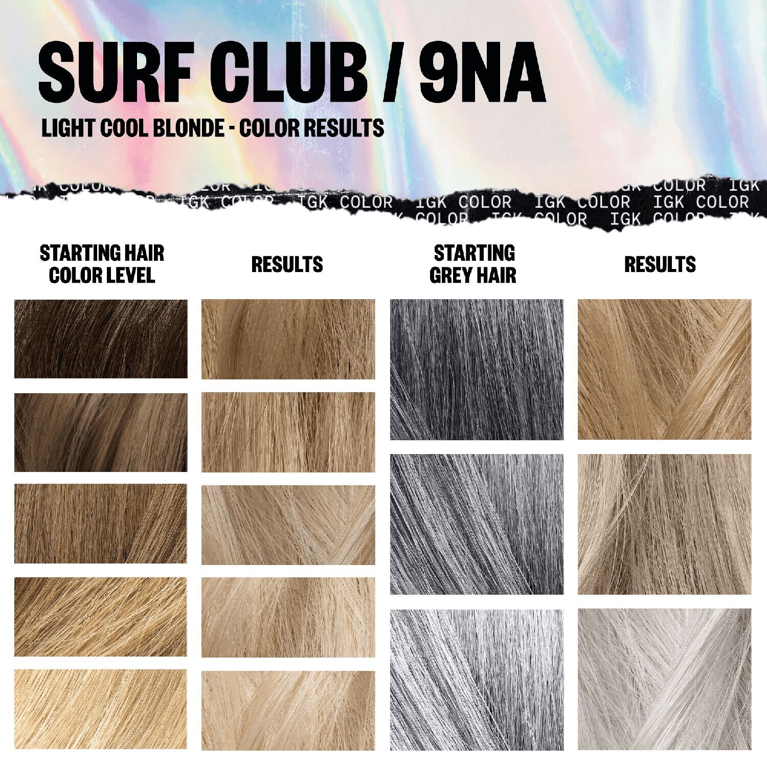 IGK Surf Club Permanent Color Kit | Sally Beauty