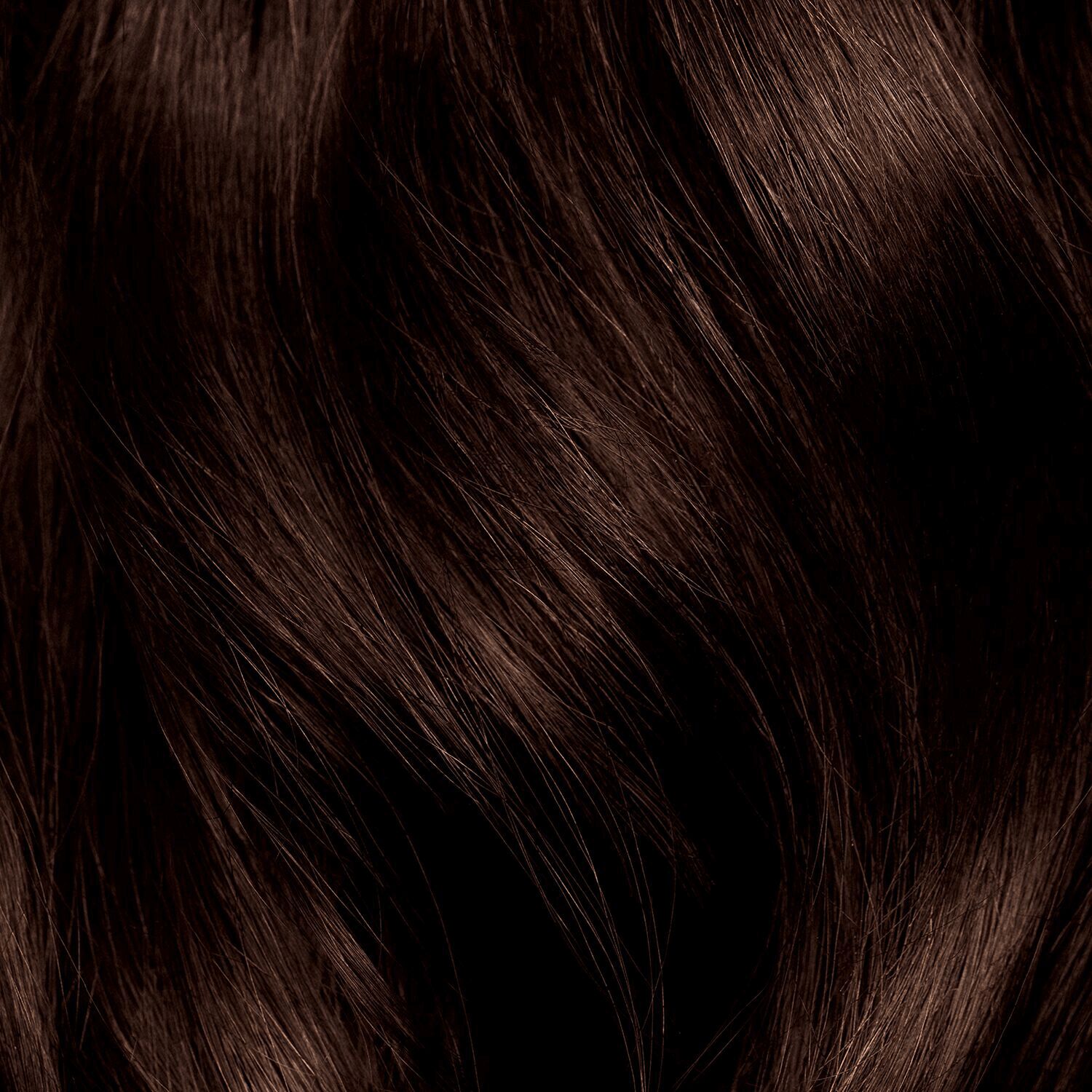 IGK Bold Brown Permanent Color Kit | Sally Beauty