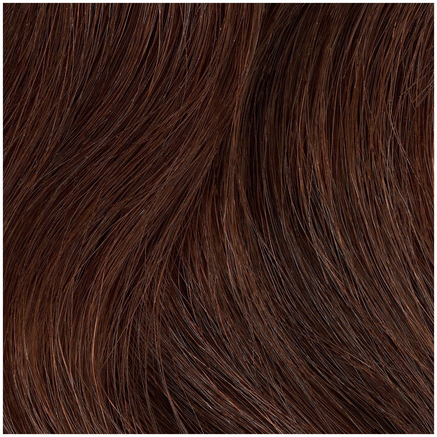 Clairol Professional 6RN Dark Red Neutral Blonde LiquiColor Permanent ...