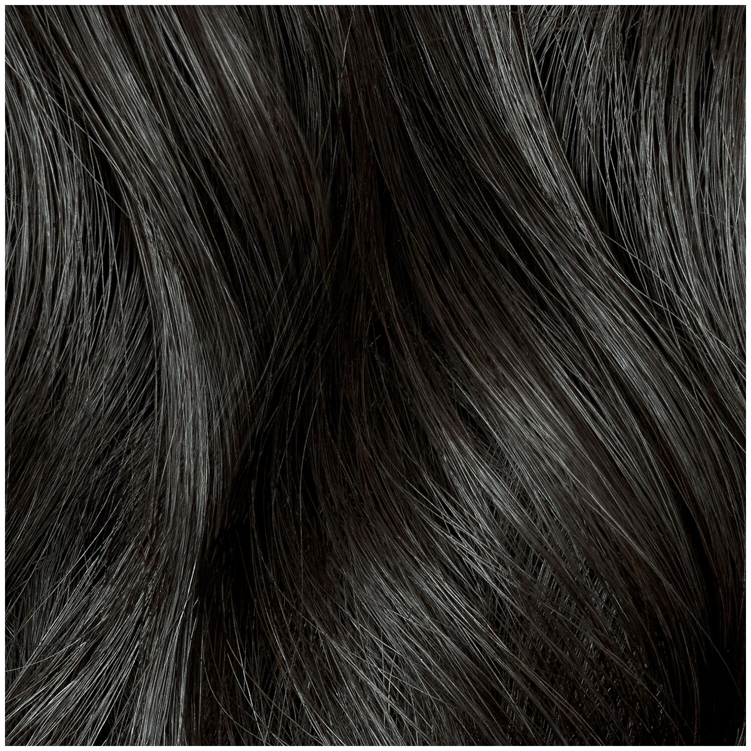 Clairol Professional 5AA/36D Lightest Ultra Cool Brown LiquiColor ...