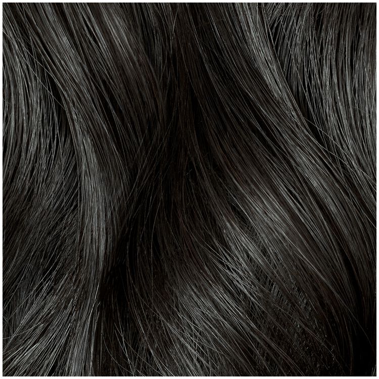 Clairol Professional 5AA/36D Lightest Ultra Cool Brown LiquiColor ...