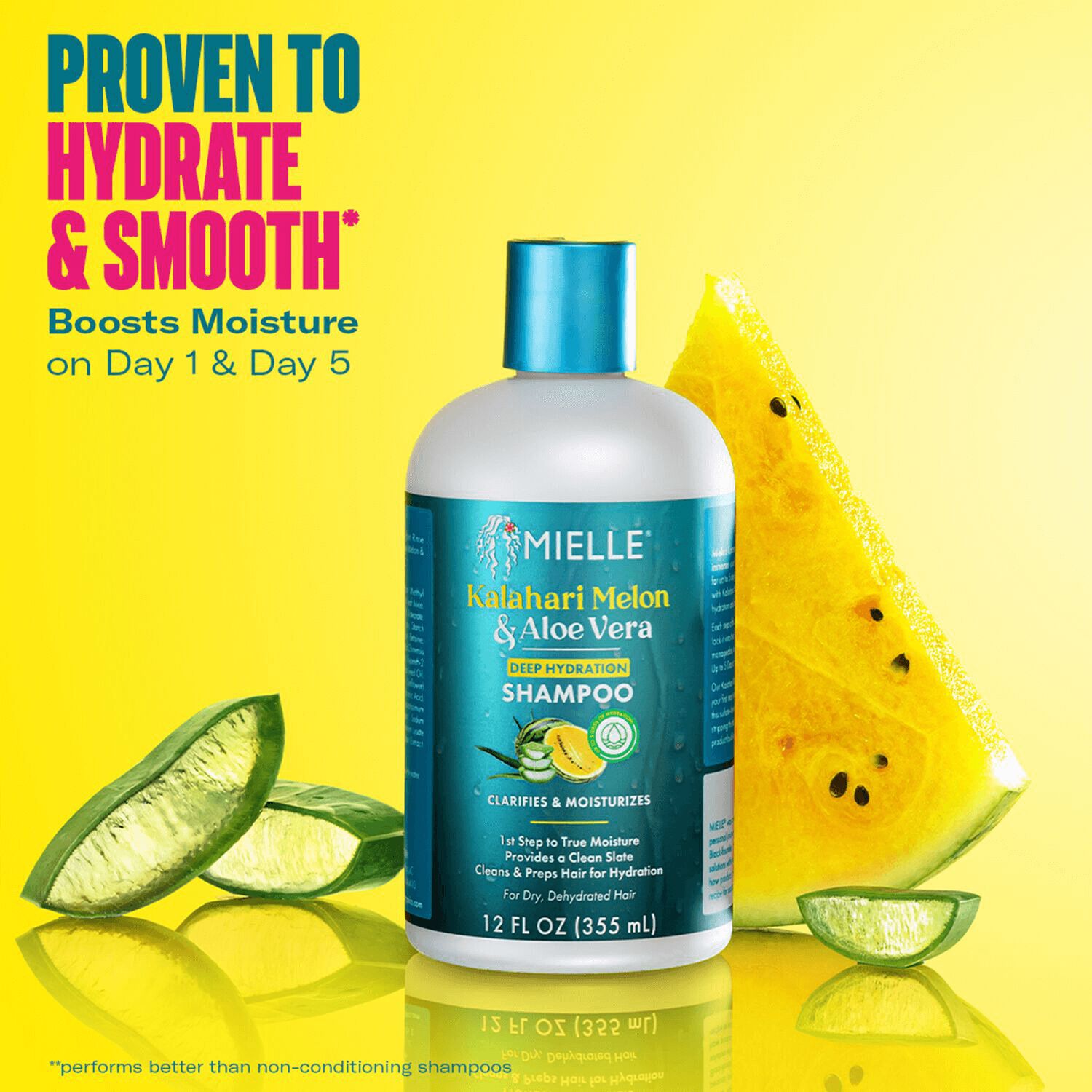 Mielle Kalahari Melon & Aloe Vera Shampoo 12 oz | Sally Beauty