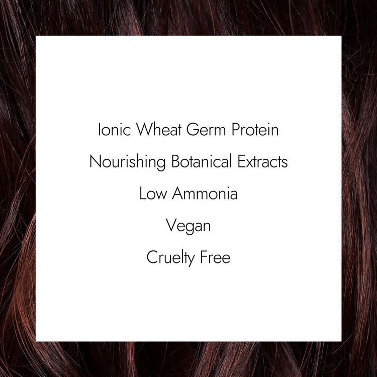 Ion 4RV Medium Burgundy Brown Permanent Creme Hair Color by Color ...