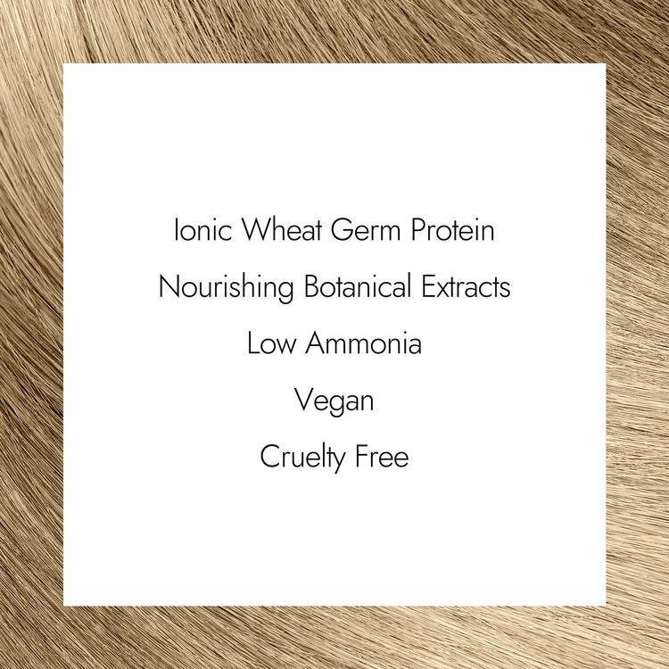 Ion 8V Light Cool Blonde Permanent Creme Hair Color by Color Brilliance ...