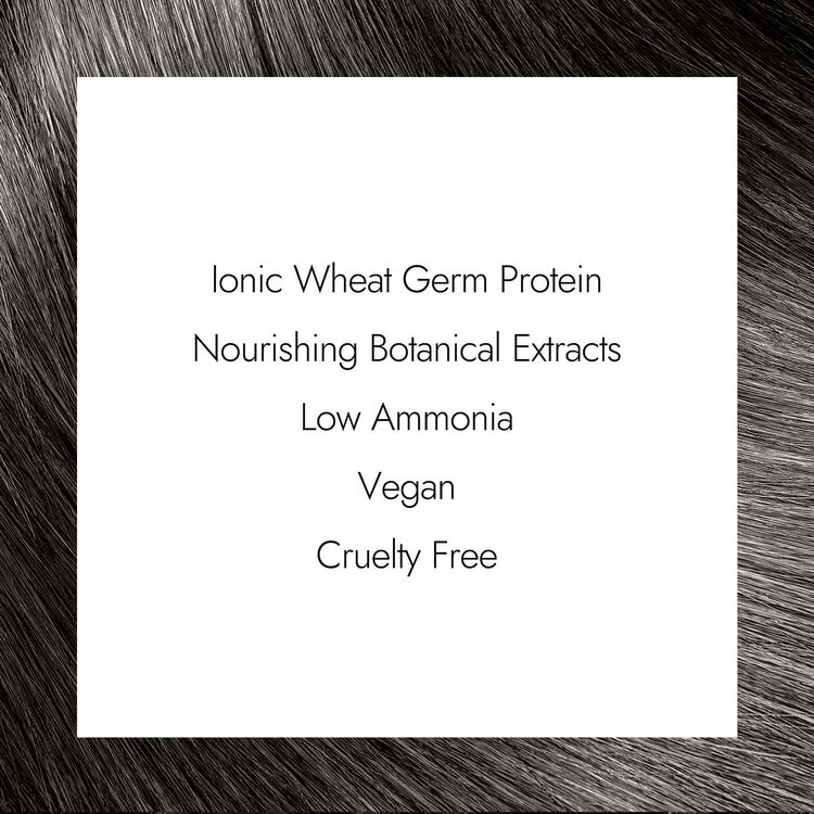 Ion 2N Darkest Brown Permanent Creme Hair Color by Color Brilliance ...