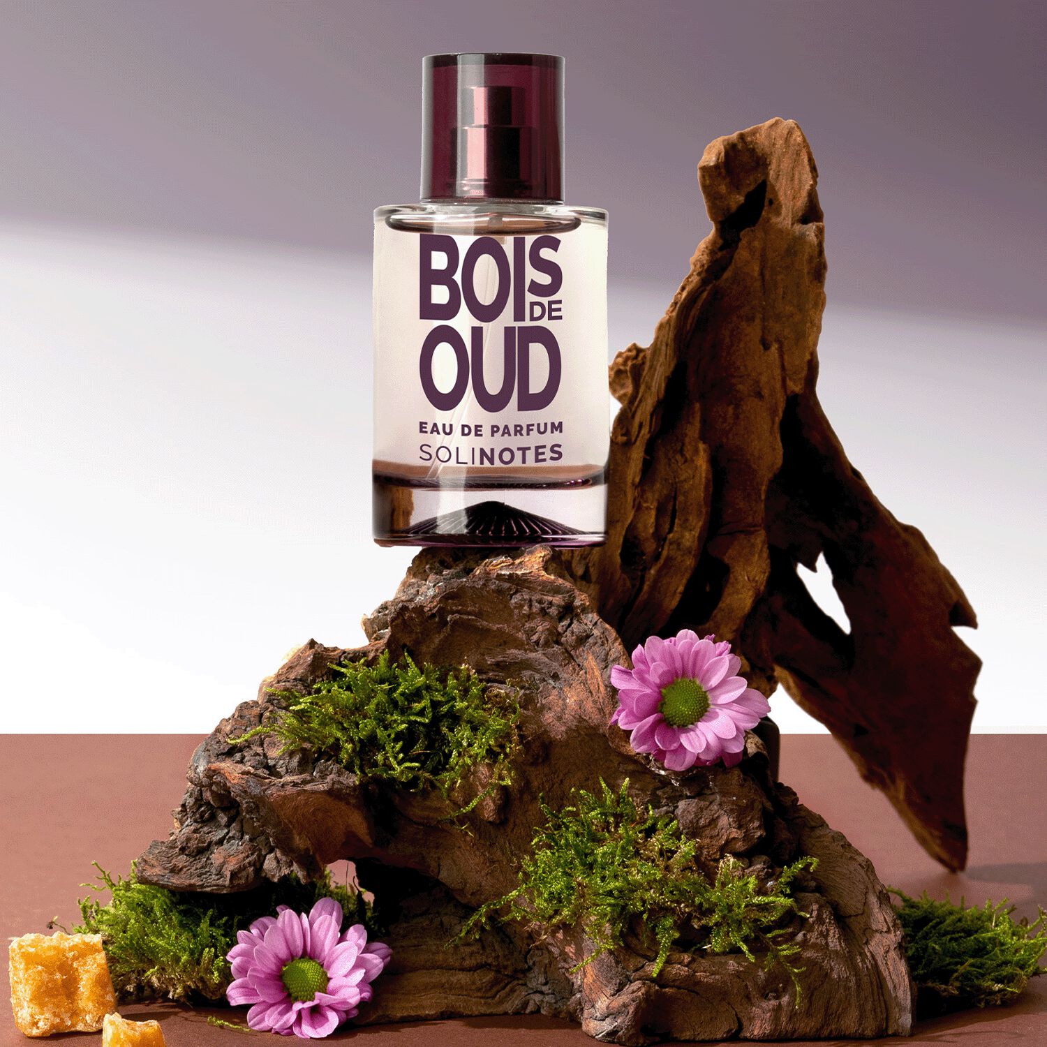 Solinotes Oud Wood Eau de Parfum | Sally Beauty