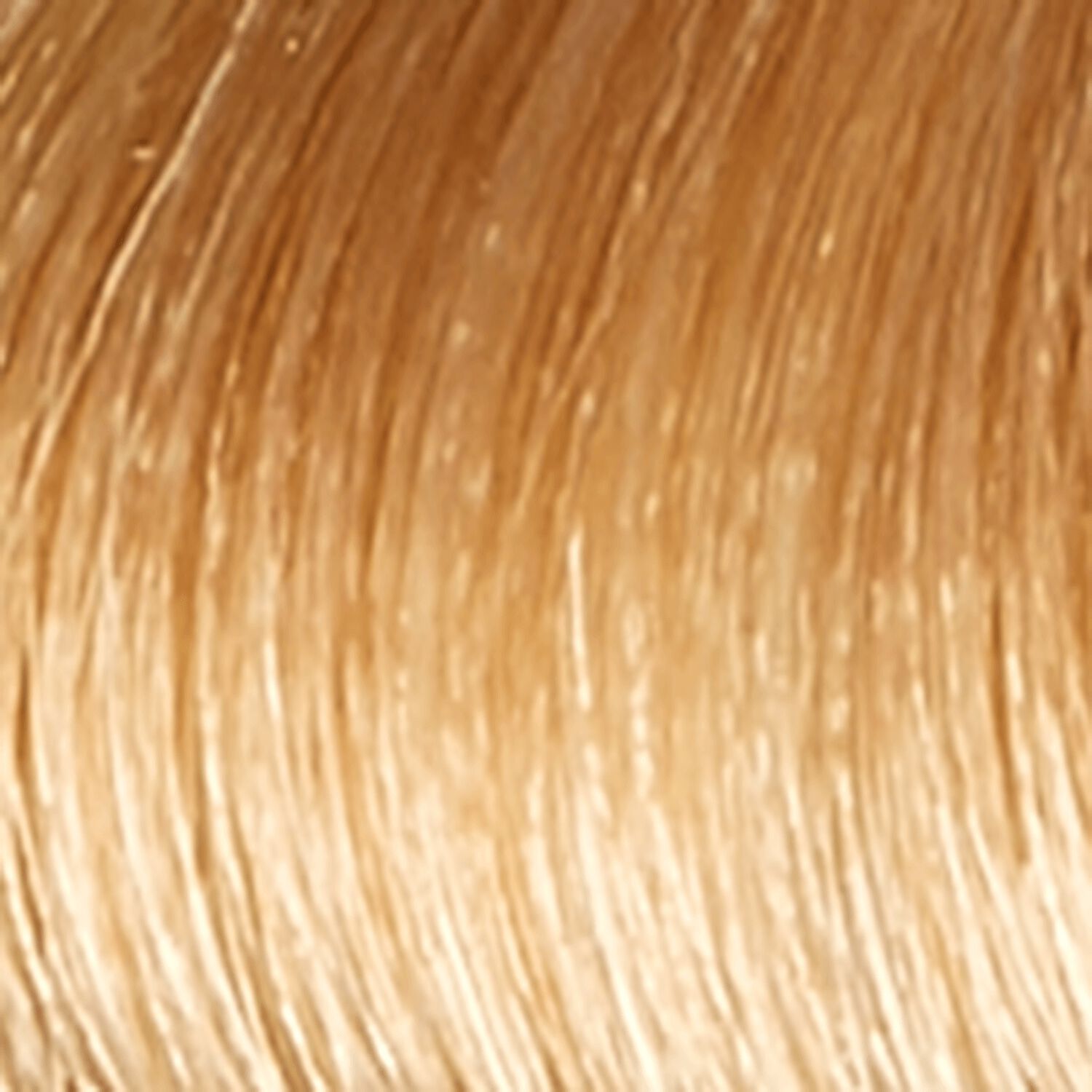 Ion 8NN Light Intense Blonde Permanent Creme Hair Color by Color ...