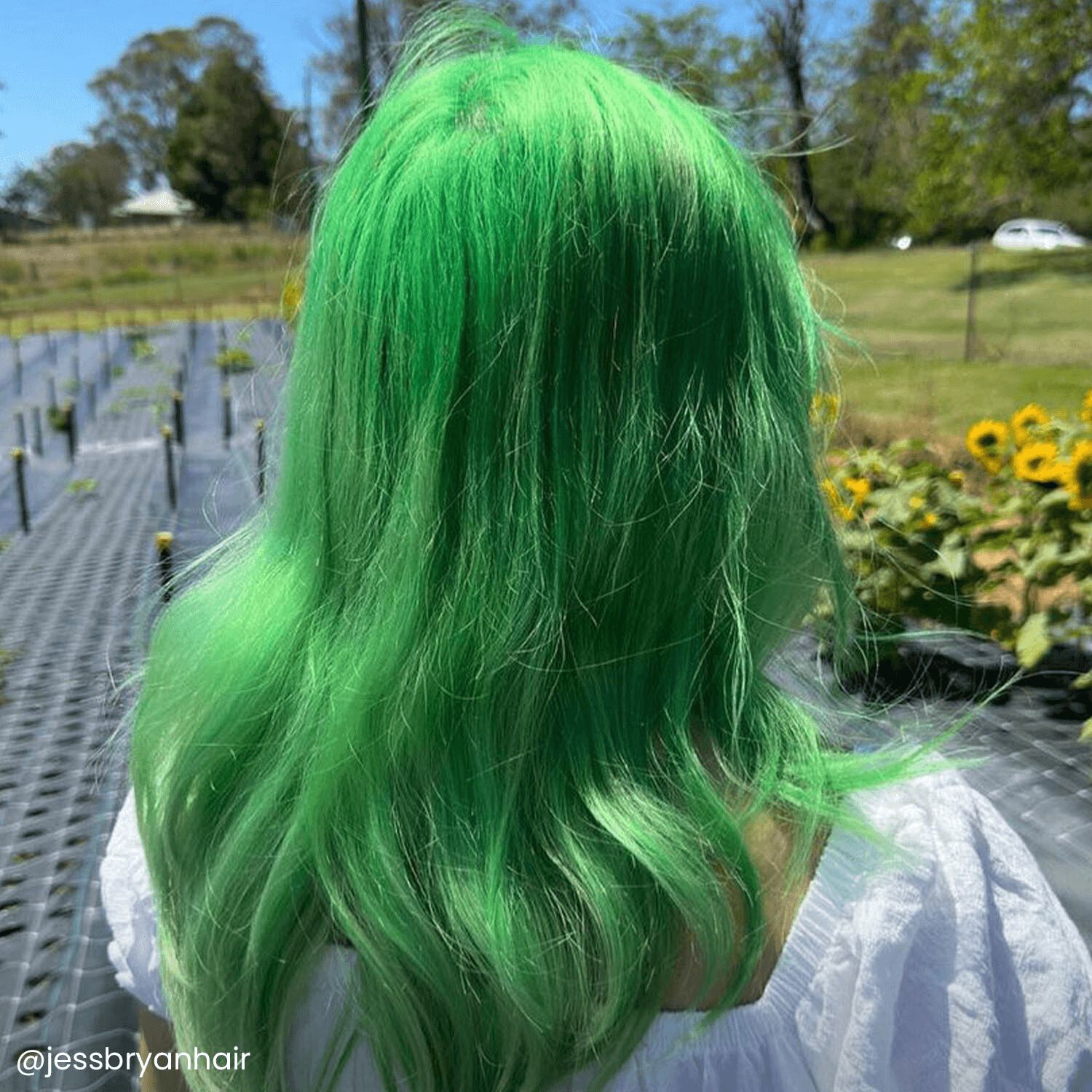 Iris Green - Arctic Fox Semi-Permanent Hair Color 8 oz. | Sally Beauty