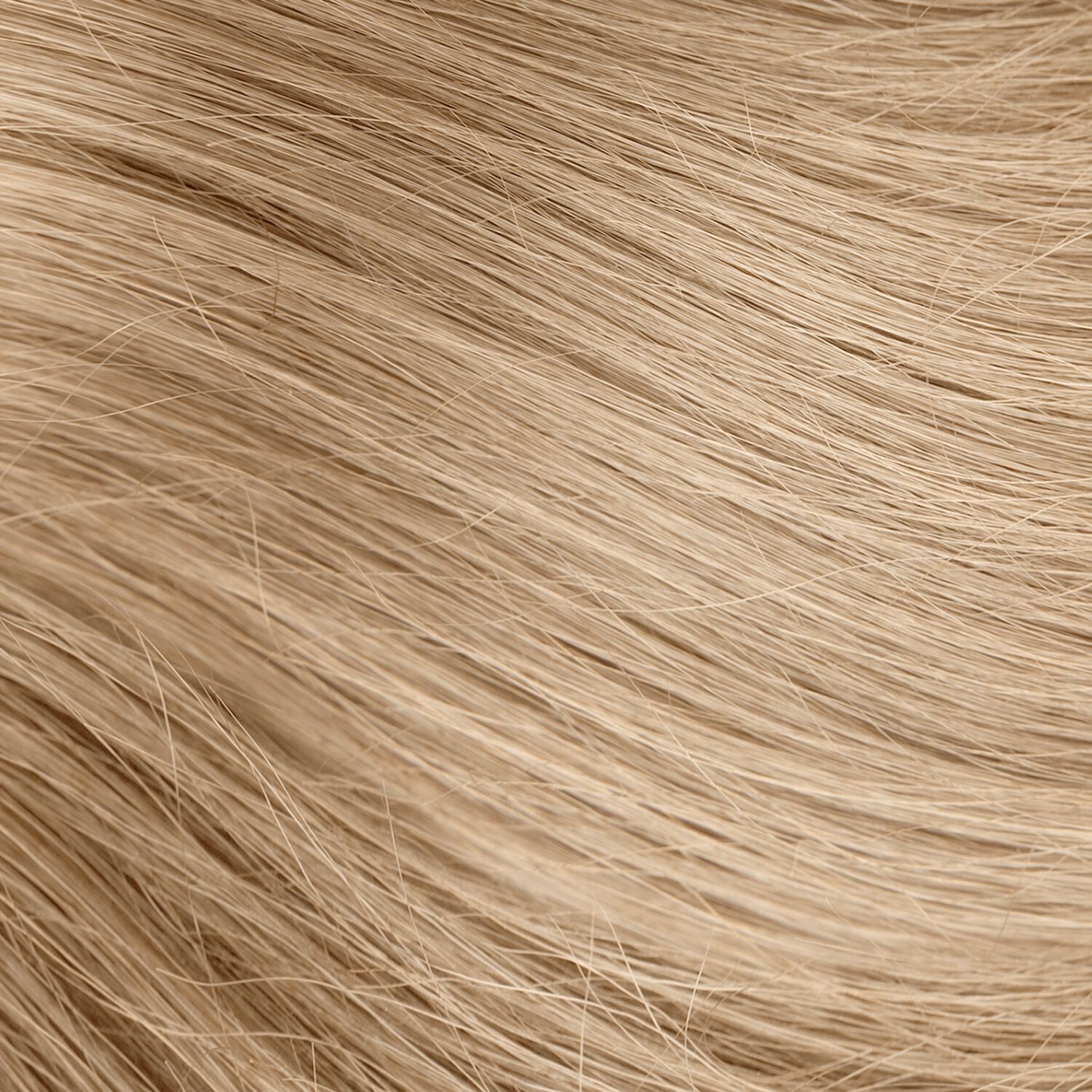 Ion 8N Light Blonde Permanent Creme Hair Color by Color Brilliance ...