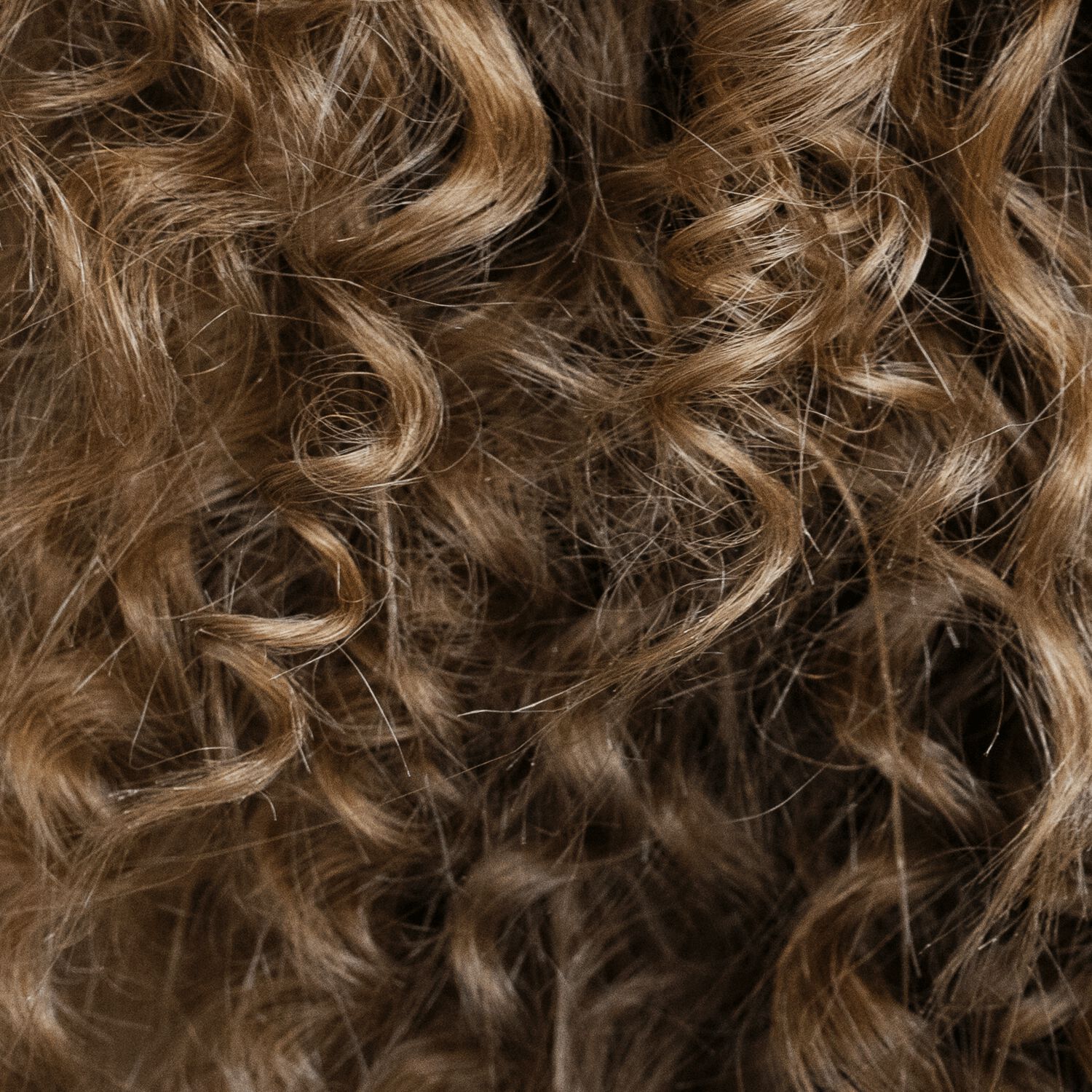 Ion 8N Light Blonde Permanent Creme Hair Color by Color Brilliance ...