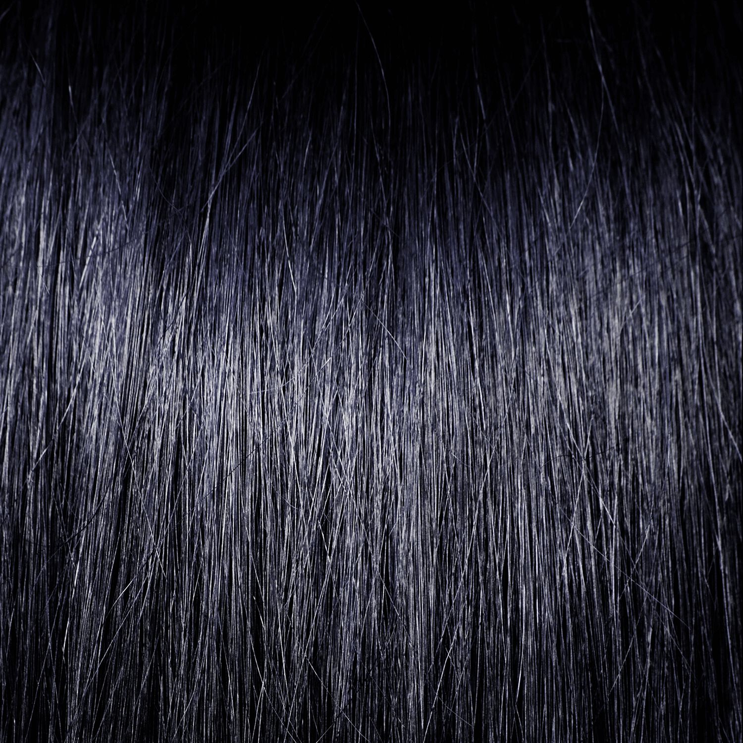 ion Midnight Blue Black Permanent Creme Hair Color