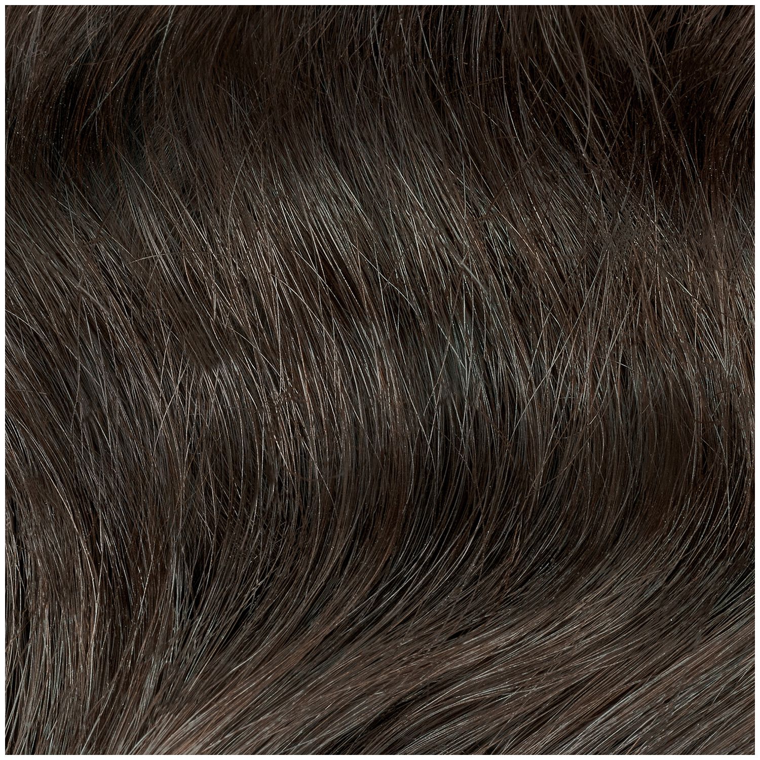 Clairol Professional 6N/86N Dark Neutral Blonde LiquiColor Permanent ...