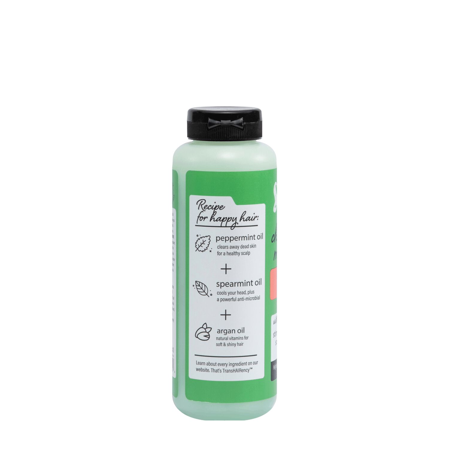 Chimichurri Mint Tingle Intense Repair Shampoo by Sauce Beauty ...