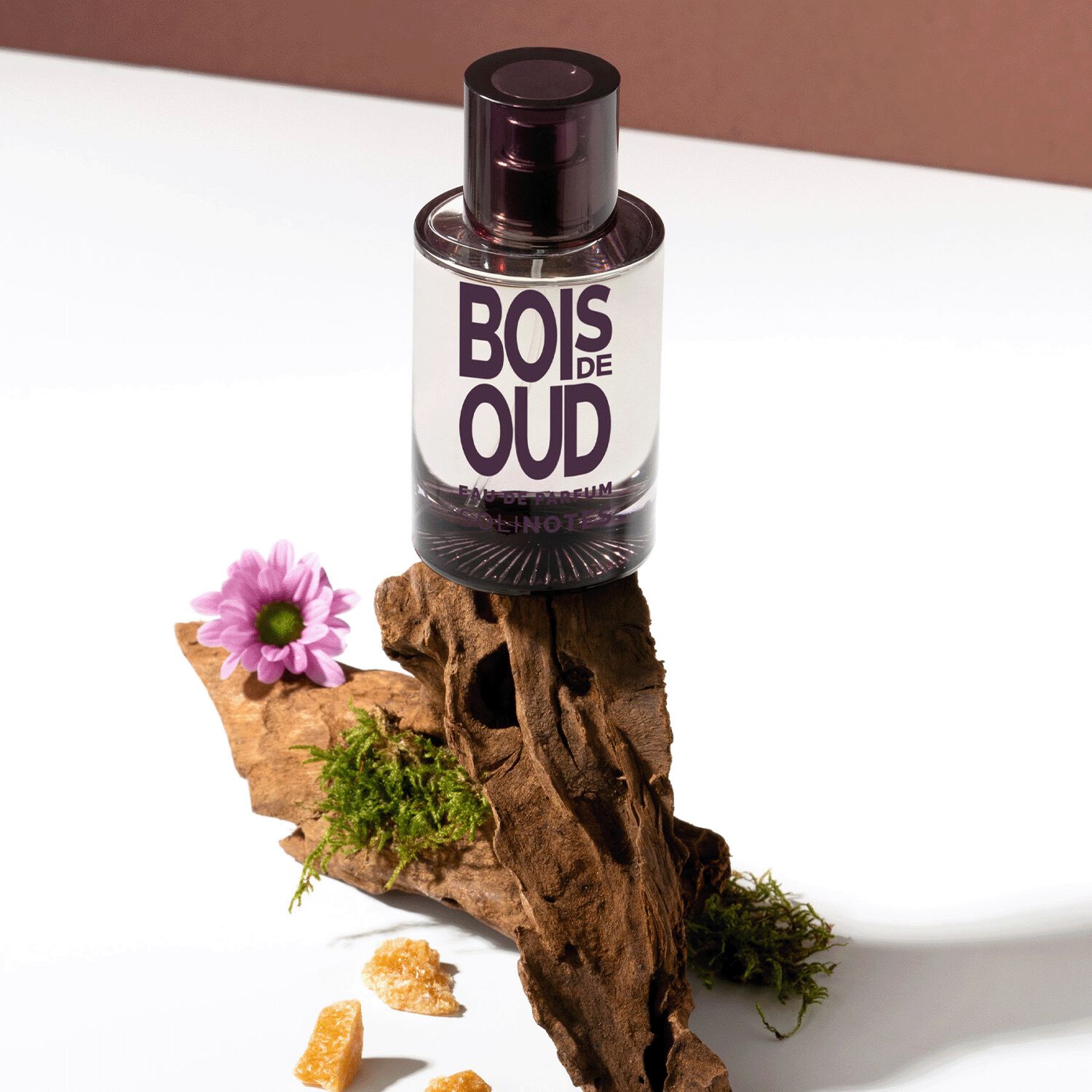 Solinotes Oud Wood Eau de Parfum | Sally Beauty