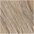Clairol Professional 9AN/40D Very Light Cool Neutral Blonde LiquiColor ...