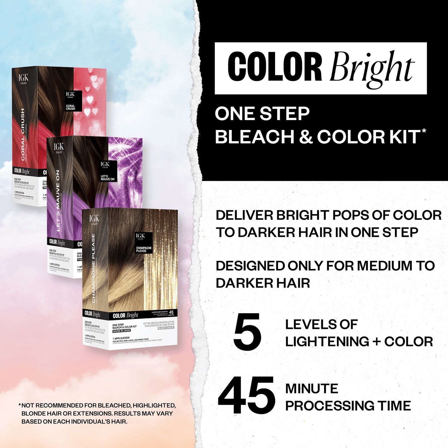 IGK Purple Reign One Step Bleach & Color Kit | Color Bright | Sally Beauty