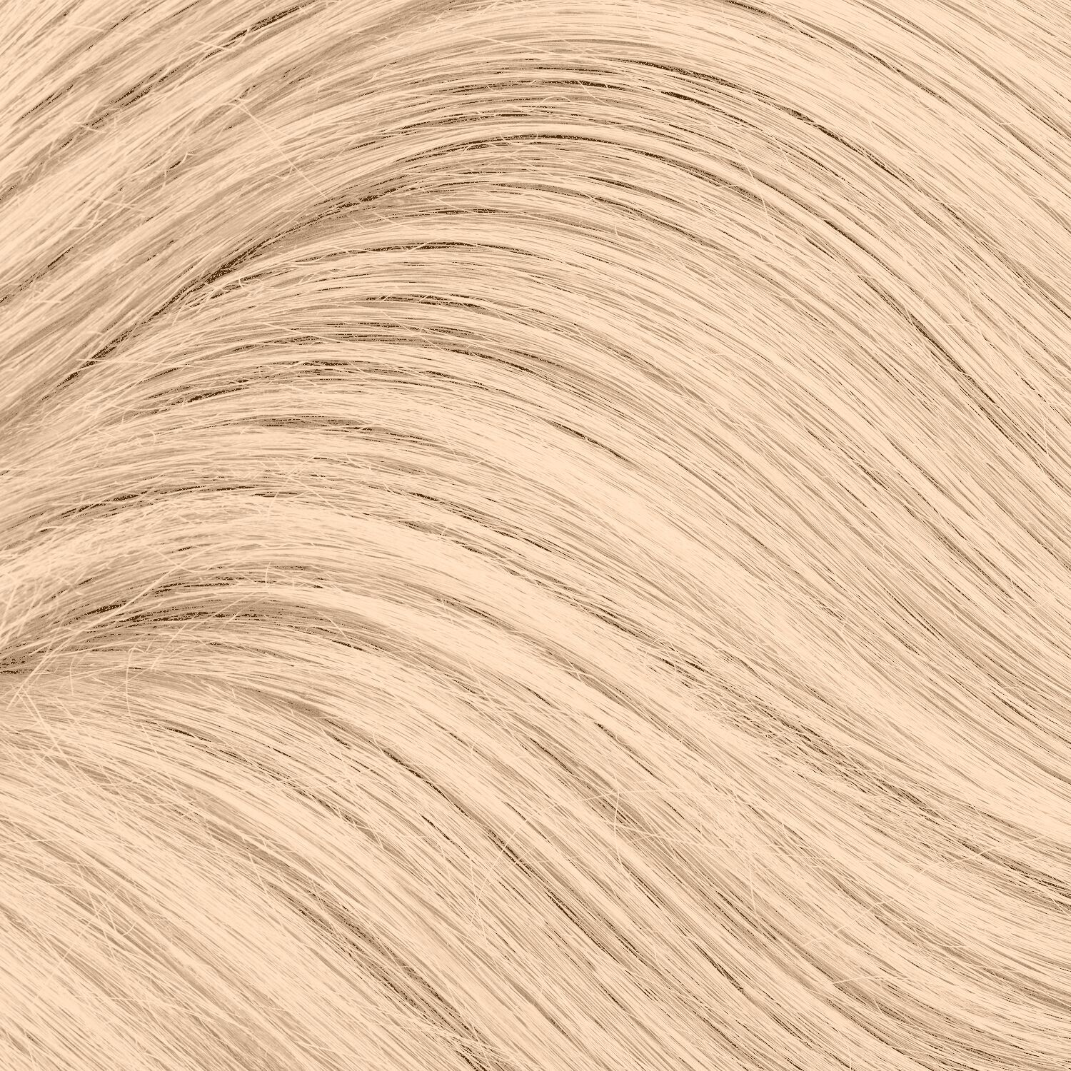bondbar Smoky Blonde Bonding Toner Demi-Permanent Hair Color | Sally Beauty