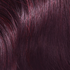 ColorWonder Demi-Permanent Hair Color Kit 4VR Plum and Then Some ...