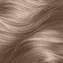 Ion 8A Light Ash Blonde Permanent Creme Hair Color by Color Brilliance ...