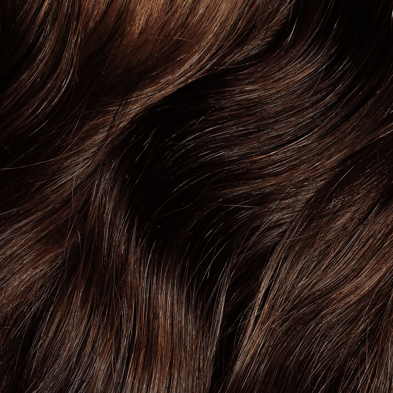 ion 2NN Darkest Intense Brown Brilliant 12 Permanent Gloss Hair Color ...