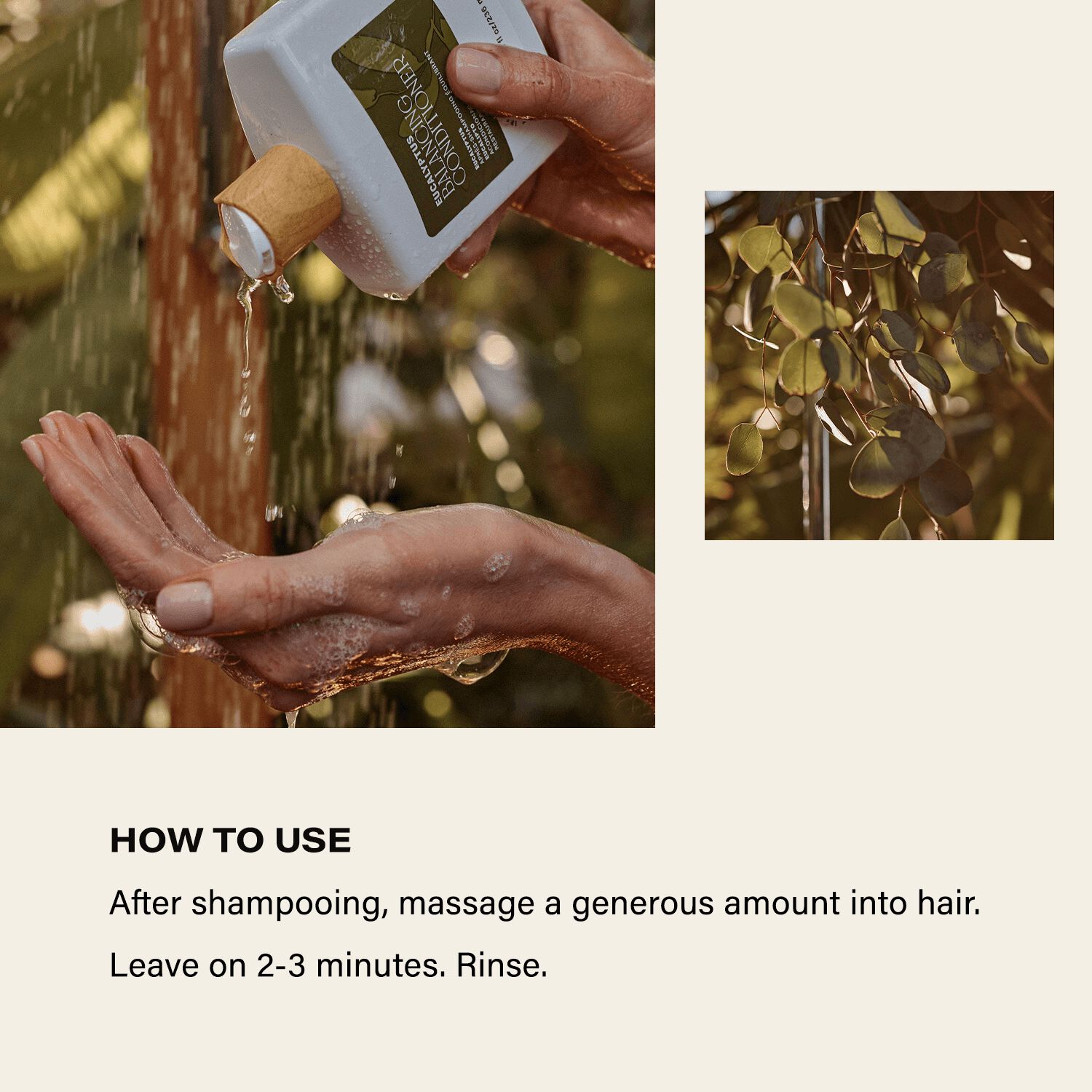 ion Eucalyptus Balancing Conditioner | Inspired by Nature | Sally Beauty