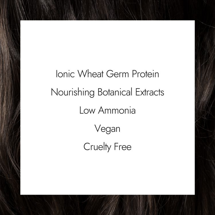 Ion 3NN Dark Intense Brown Permanent Creme Hair Color by Color ...