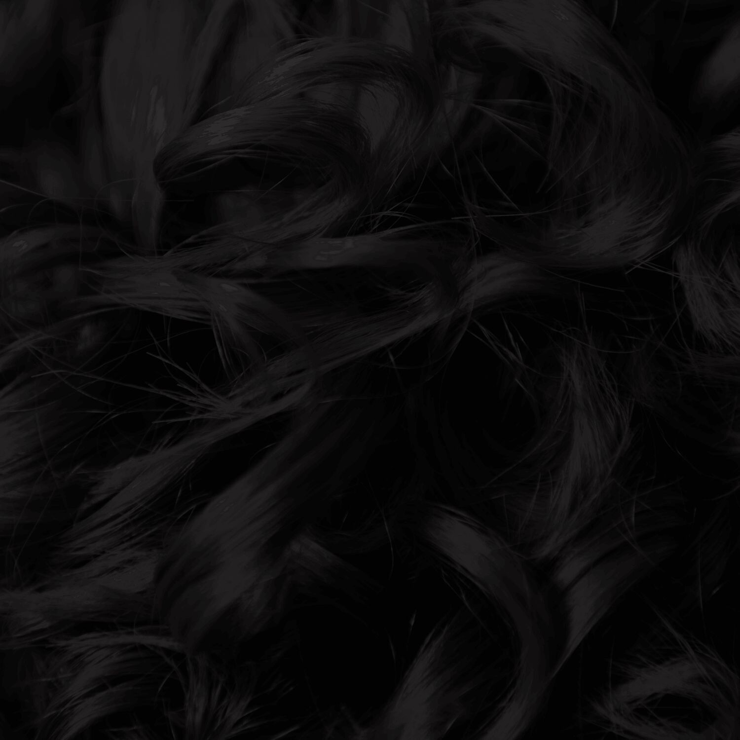 Ion 1V Jet Black Permanent Liquid Hair Color by Color Brilliance ...