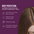 Root Perfection Root Touch Up Permanent Hair Color Kit 7N Alba Brown ...