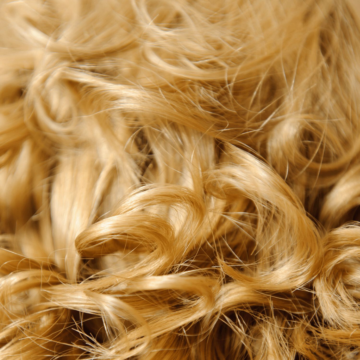 Ion 8NN Light Intense Blonde Permanent Creme Hair Color by Color ...