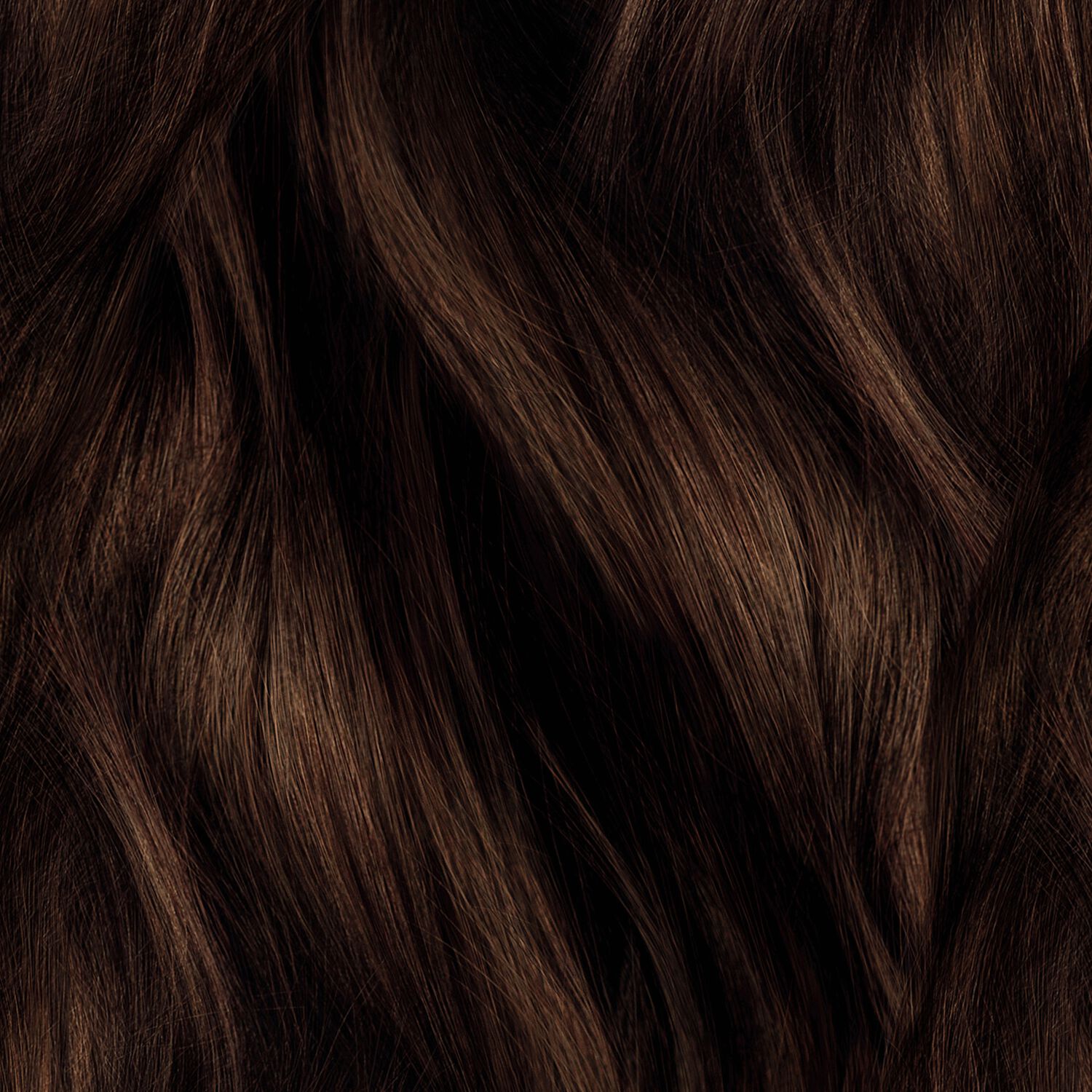 Dark Brown Glossy Color & Gloss & Repair Semi Permanent Hair Gloss ...