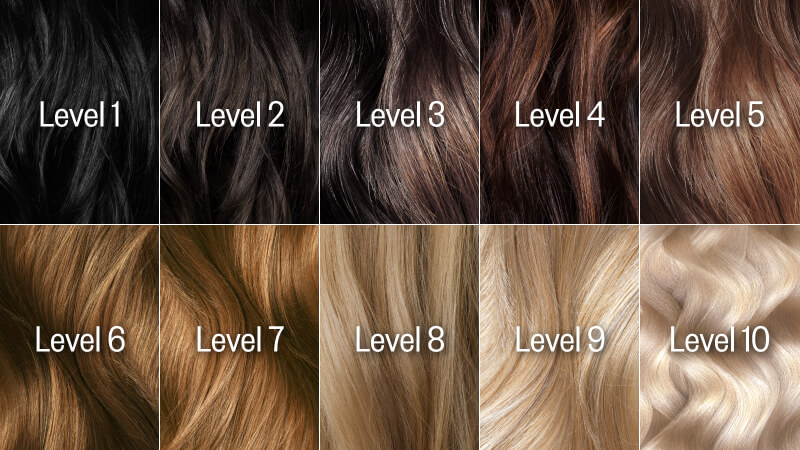 What is High Lift hair Color