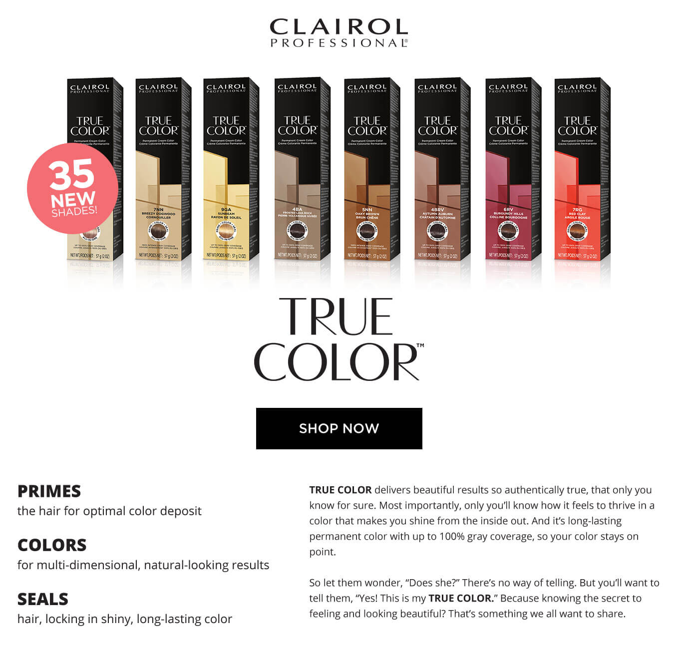 Clairol Professional | Brands | Sally Beauty